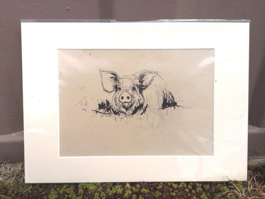 Original Pen and Ink and watercolour drawings – McSpoff Art